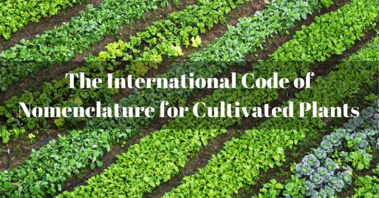 The-International-Code-of-Nomenclature-for-Cultivated-Plants ... The-International-Code-of-Nomenclature-for-Cultivated-Plants ...